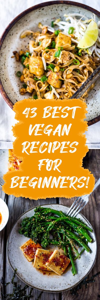 43 Simple Vegan Recipes For Beginners That Are Healthy & Delicious!